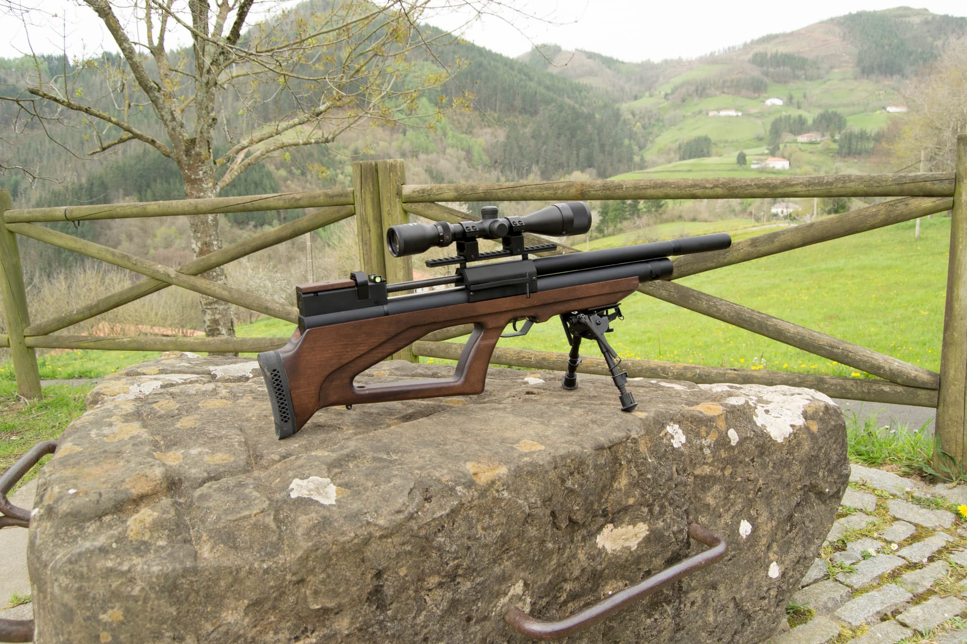 PCP Airguns | Product